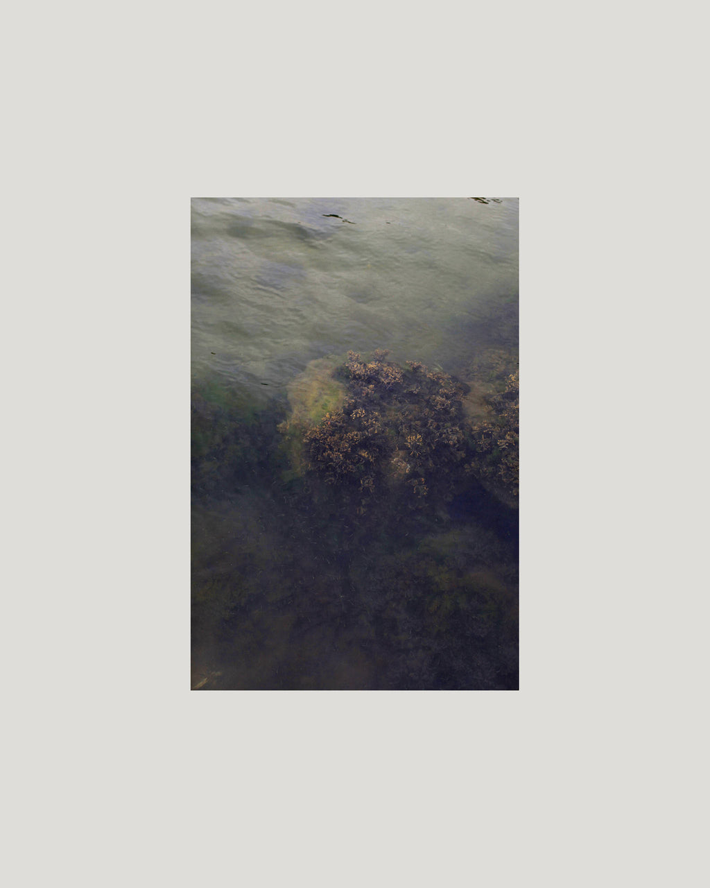 Terra II – Shop SWOON